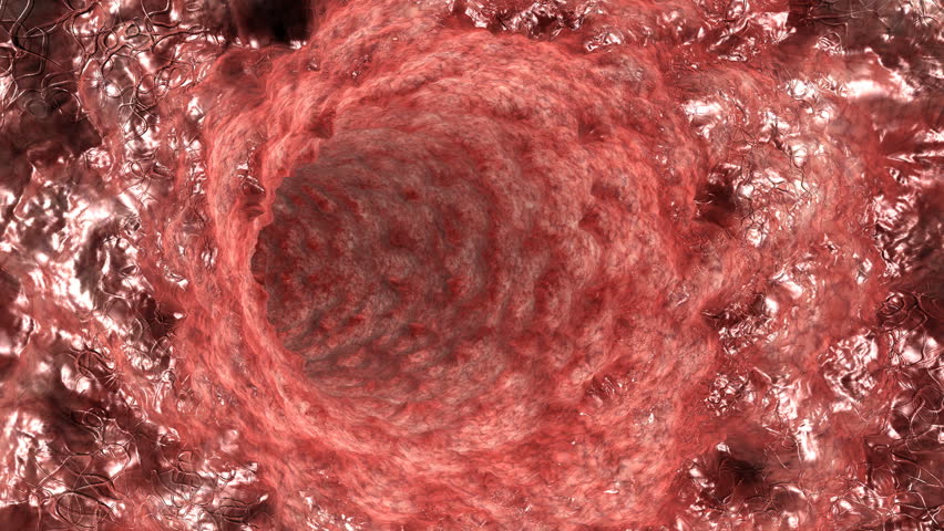 「Inside Human Throat,seamless Loop」の動画素材（完全ロイヤリティフリー）311797 | Shutterstock