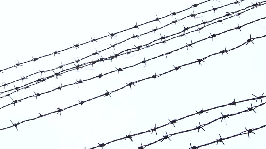 Barbed Wire Loop, Looping Stock Footage Video 3207715 | Shutterstock