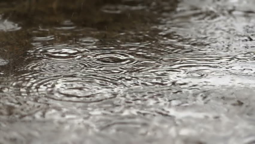 Rain Drops Dripping in a Stock Footage Video (100% Royalty-free ...