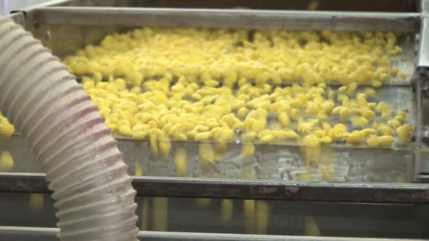 Stock video of corn flour, factory for the production | 3300587 ...