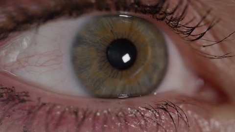 Shrinking Stock Video Footage - 4K and HD Video Clips | Shutterstock