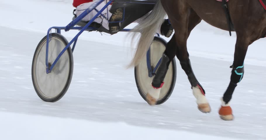 Horse Racing contestants in a race image - Free stock photo - Public ...