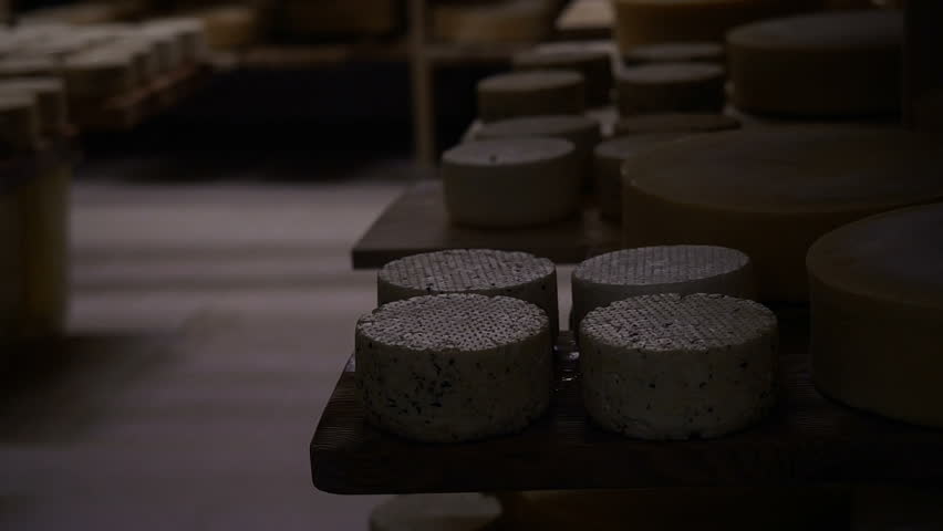 Cheese Factory and cheese products image - Free stock photo - Public ...
