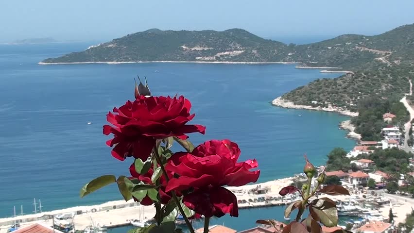 Two Roses and Peninsula Panorama Stock Footage Video (100% Royalty-free ...