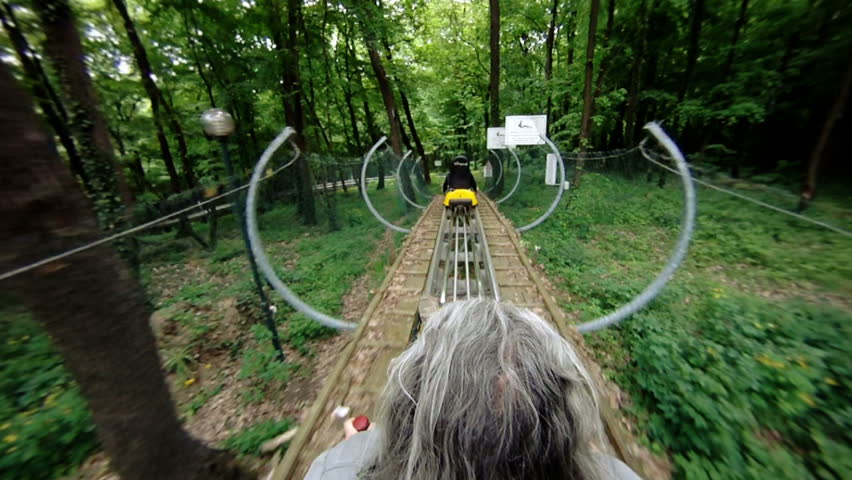Stock video of roller coaster in forest (forward) | 3573887 | Shutterstock