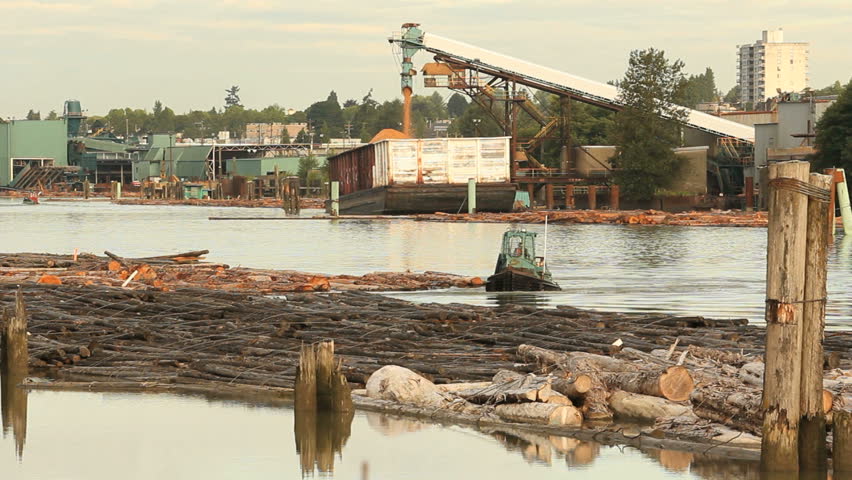 A Boom Boat Maneuvers Logs Stock Footage Video (100% Royalty-free ...