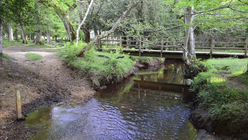 Stock Video Clip of Slow moving stream flows under bridge in | Shutterstock