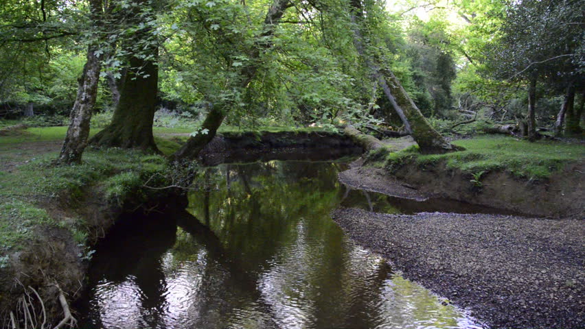 Slow Moving Stream Flows Under Stock Footage Video (100% Royalty-free ...