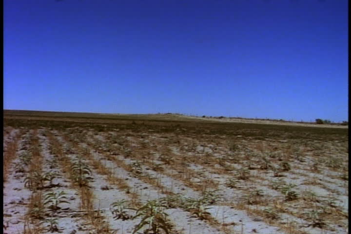 Very Dry Crop Field Under Stock Footage Video (100% Royalty-free ...