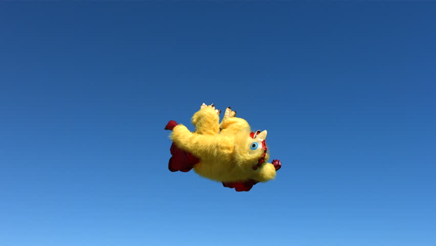 Chicken Backflip, Slow Motion Stock Footage Video (100% Royalty-free ...