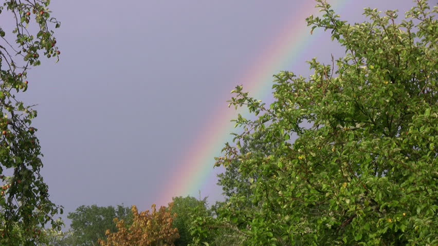 Rainbow Behind a Tree Stock Footage Video (100% Royalty-free) 485167 ...