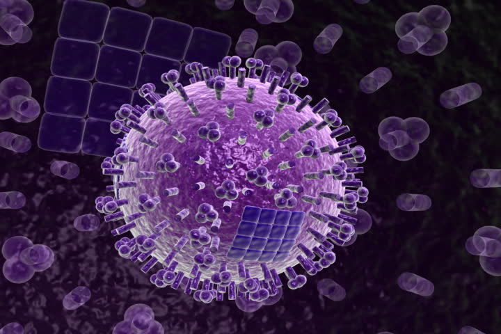 Structure Of Zika Virus. An Animation Shows Presence Of Outer Envelope ...