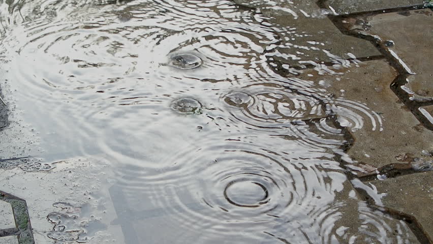Stock video of drops of rain fall in a | 4902917 | Shutterstock