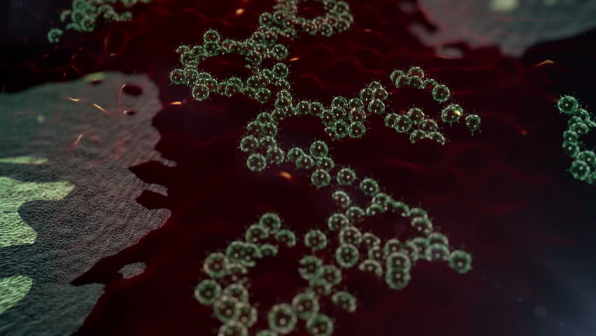 Stock video of phagocyte, antibiotic, phagocyte and pill, | 5000837 ...