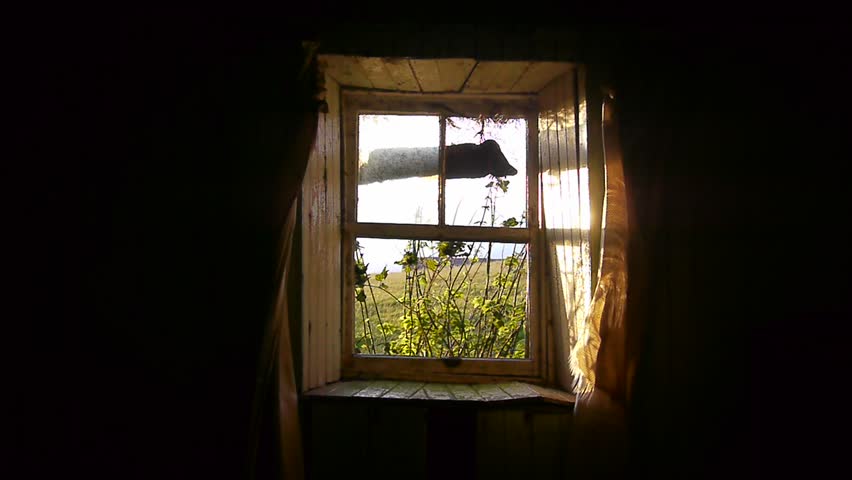 Stock video of the wind blows through the window | 539587 | Shutterstock