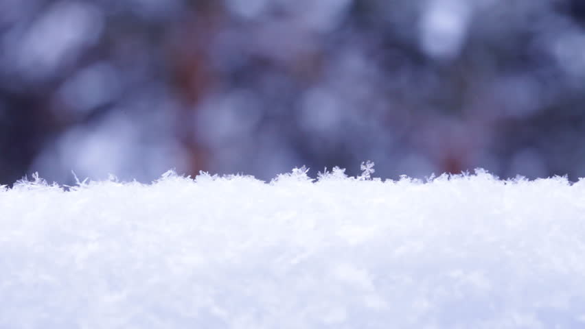 The Falling Snow Closeup Stock Footage Video (100% Royalty-free ...