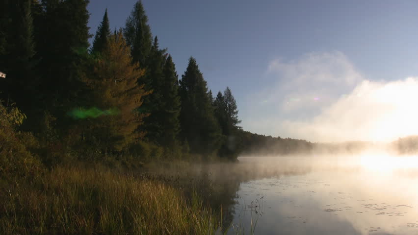 Golden Misty Morning At The Lake. Sun Tries To Break Through The ...