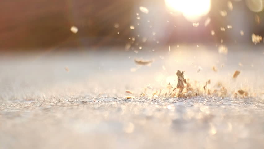 Saw Dust Falling, Sawing Wood Stock Footage Video (100% Royalty-free ...