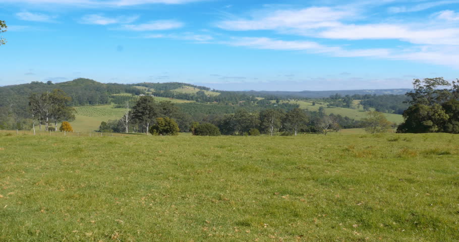 Lush Green Pasture in Dairy Stock Footage Video (100% Royalty-free ...