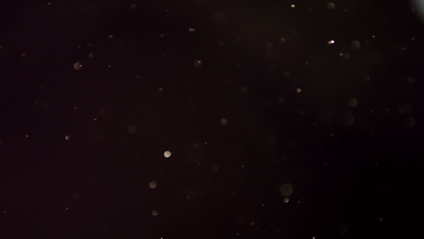 Dust Particles in Sunlight Stok Video (%100 Telifsiz) 6907597 ...