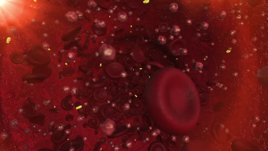 Shot in the Bloodstream Showing Stock Footage Video (100% Royalty-free ...