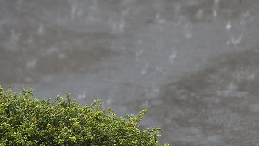 Torrential Rain. _ (focus On Stock Footage Video (100% Royalty-free ...