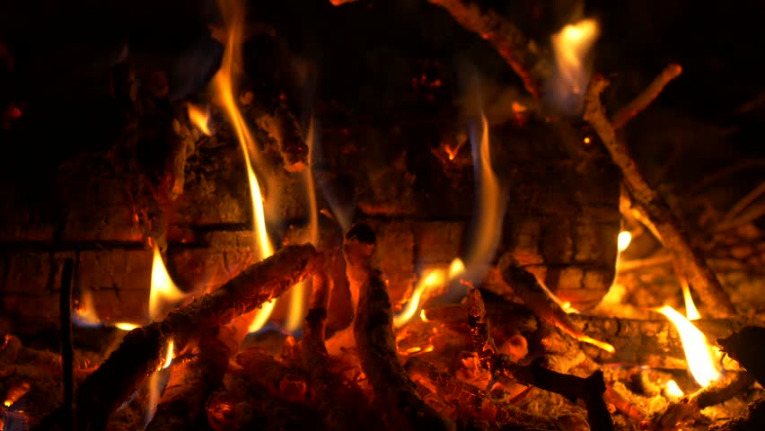 Looping Video Features Campfire Flames Dancing On Charred Logs In The ...