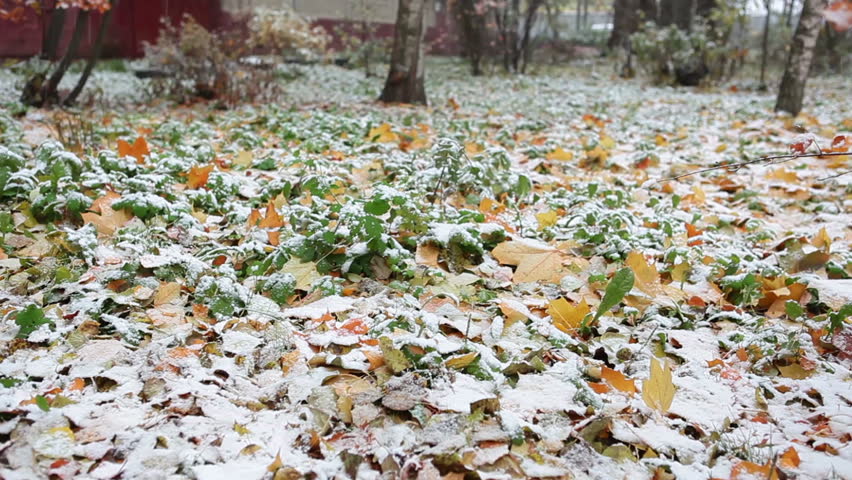 Cusco, Peru, South America. October 2007 Video Footage Of Poor Children ...