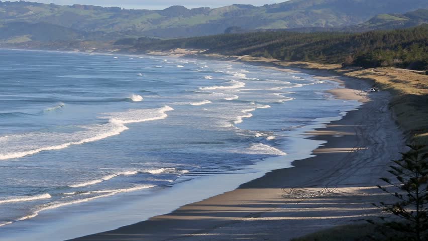 Vídeo stock de Scenic View of Forestry Beach (100% livre de direitos ...