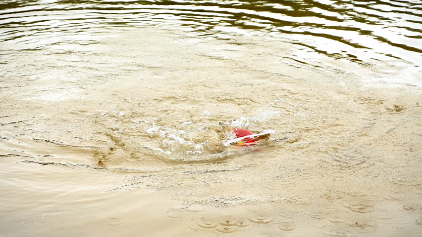 Fish Hooked and Flopping Through Stock Footage Video (100% Royalty-free ...