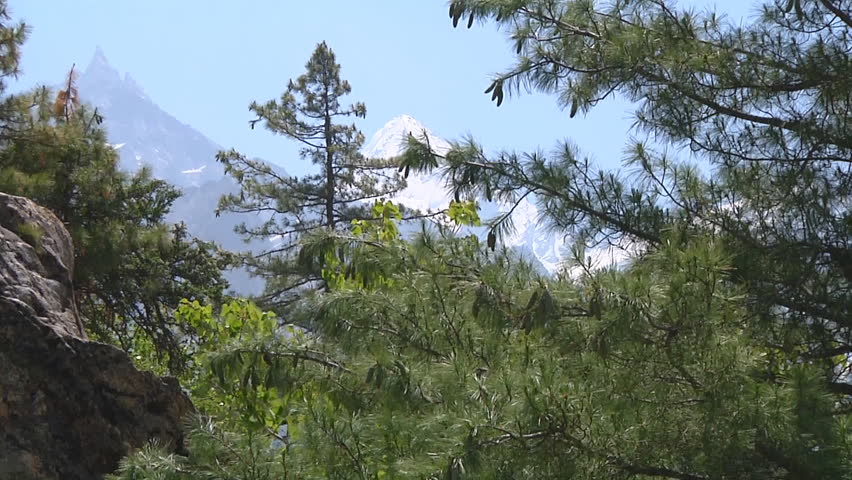 Mid Shot of Trees and Stock Footage Video (100% Royalty-free) 8826907 ...