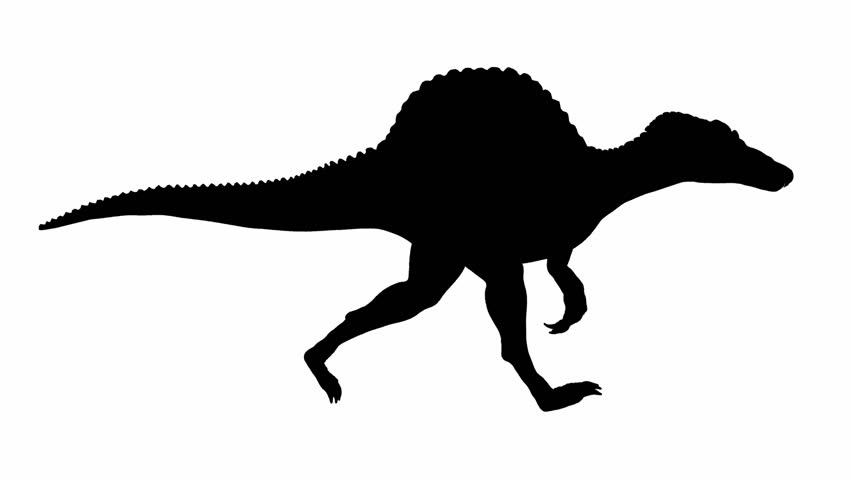 Looping Dinosaur Spinosaurus Run Animation With Silhouette. Isolated On ...