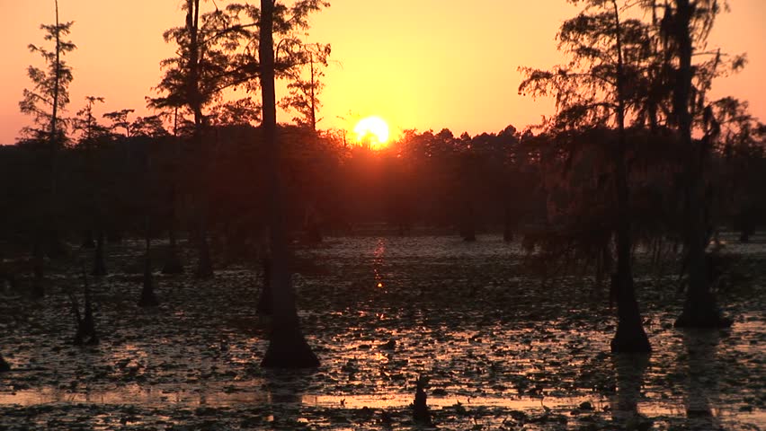 Louisiana Bayou at Sunset Stock Footage Video (100% Royalty-free ...