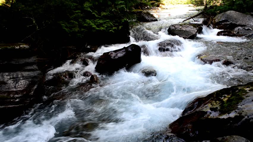 Fast Flowing Mountain Spring in Stock Footage Video (100% Royalty-free ...