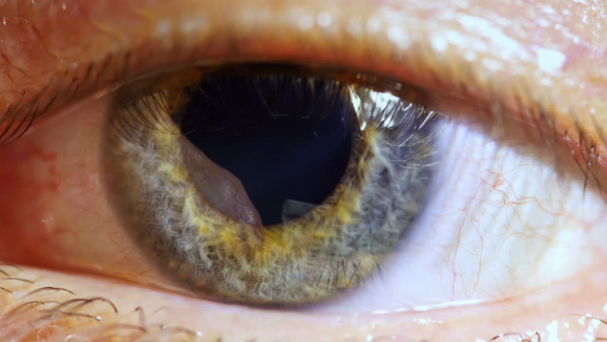 Close-up On An Eye. Horror Looking Eye. 4k, UHD Video Stock Footage ...
