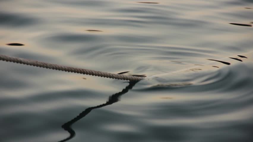 Stock video of rope in the water in croatia | 9968237 | Shutterstock